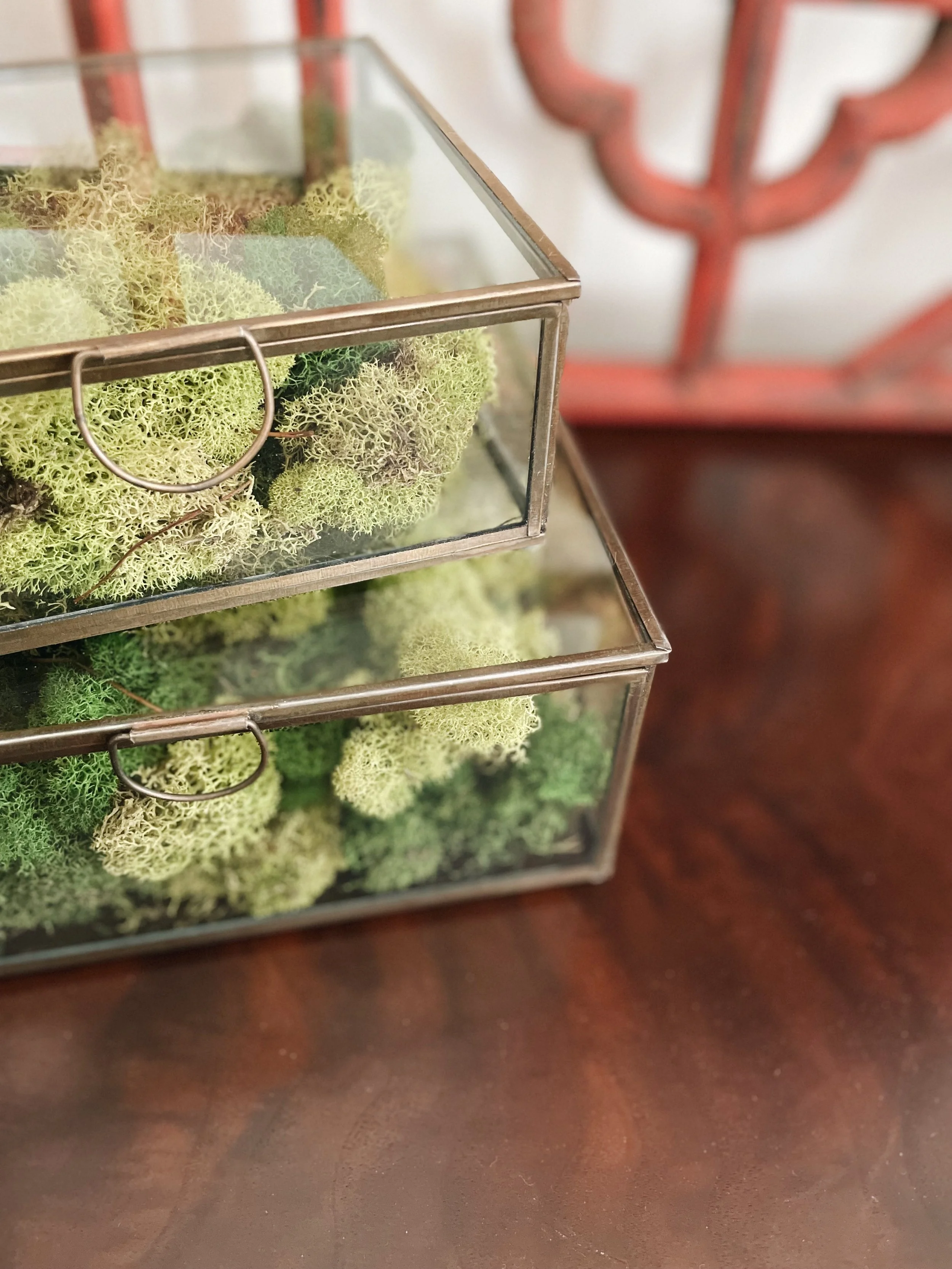 Behind the Scenes at Designer House 2023: An Interview with Designer ...