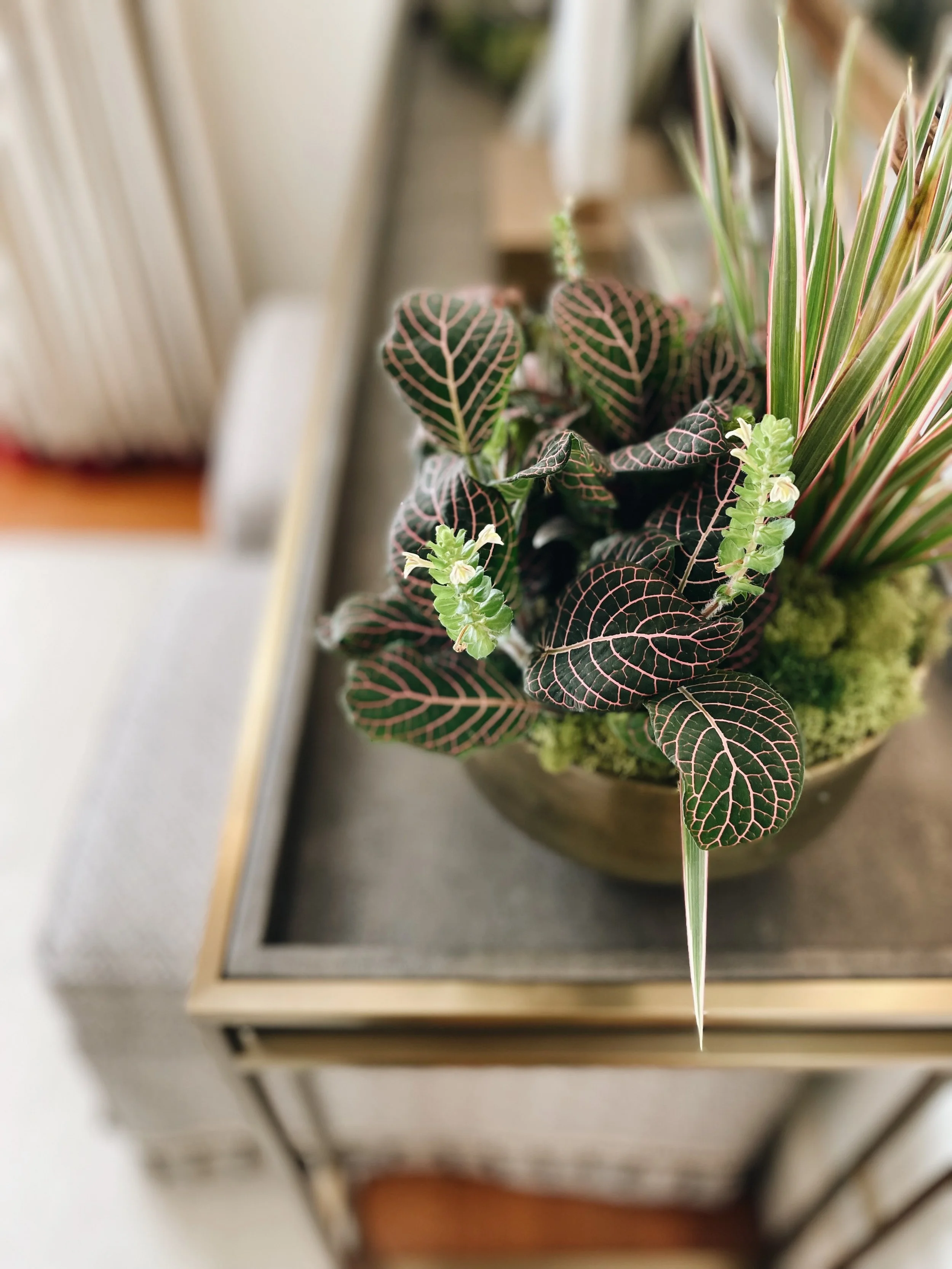 Behind the Scenes at Designer House 2023: An Interview with Designer ...