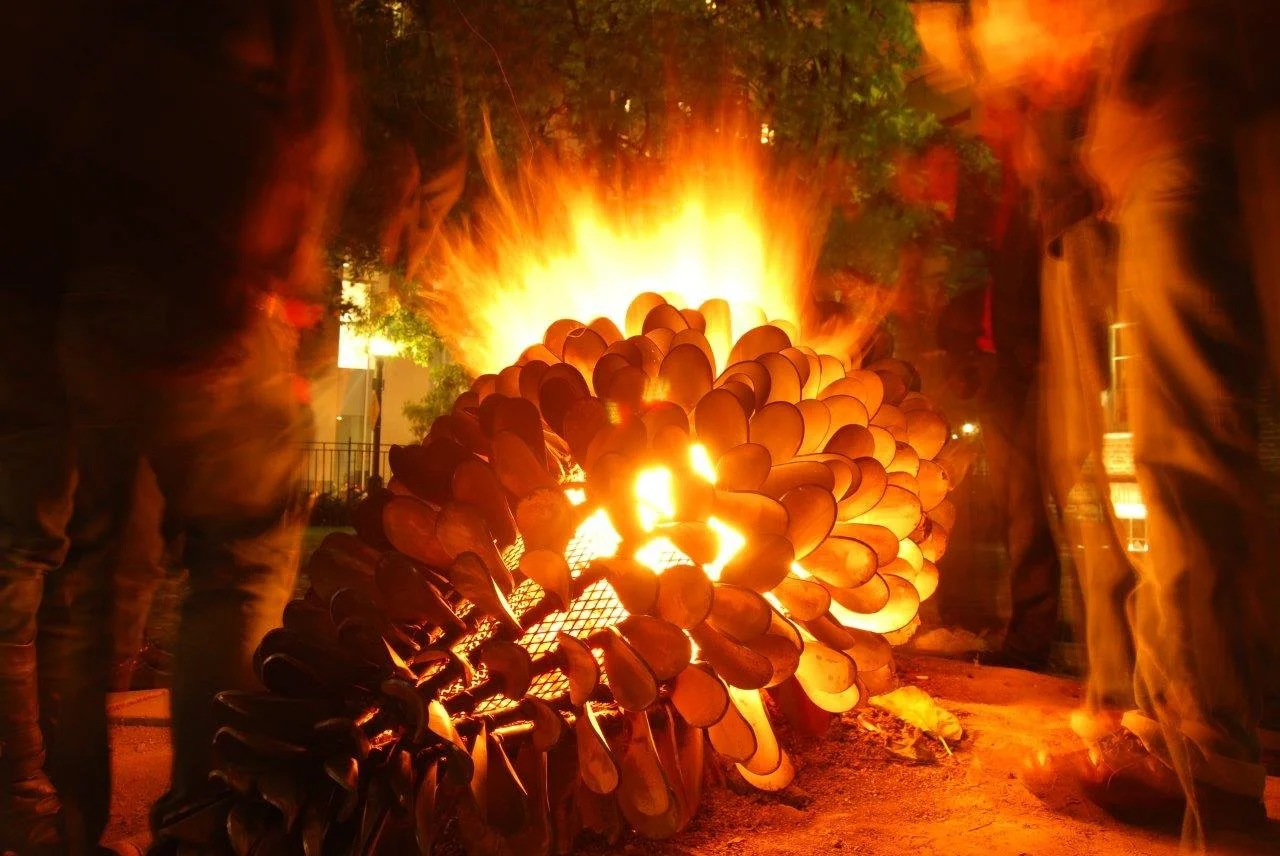 Pinecones — Floyd Elzinga