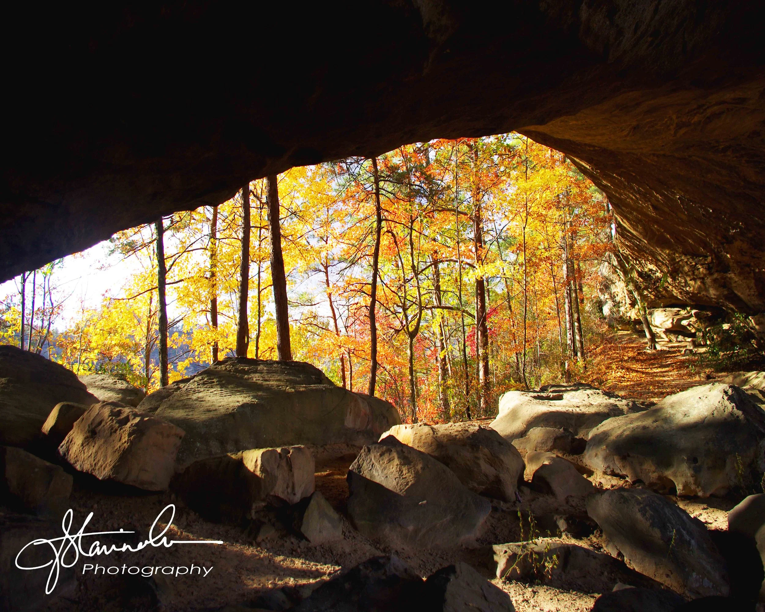 Store 1 — Jennifer Stavinoha