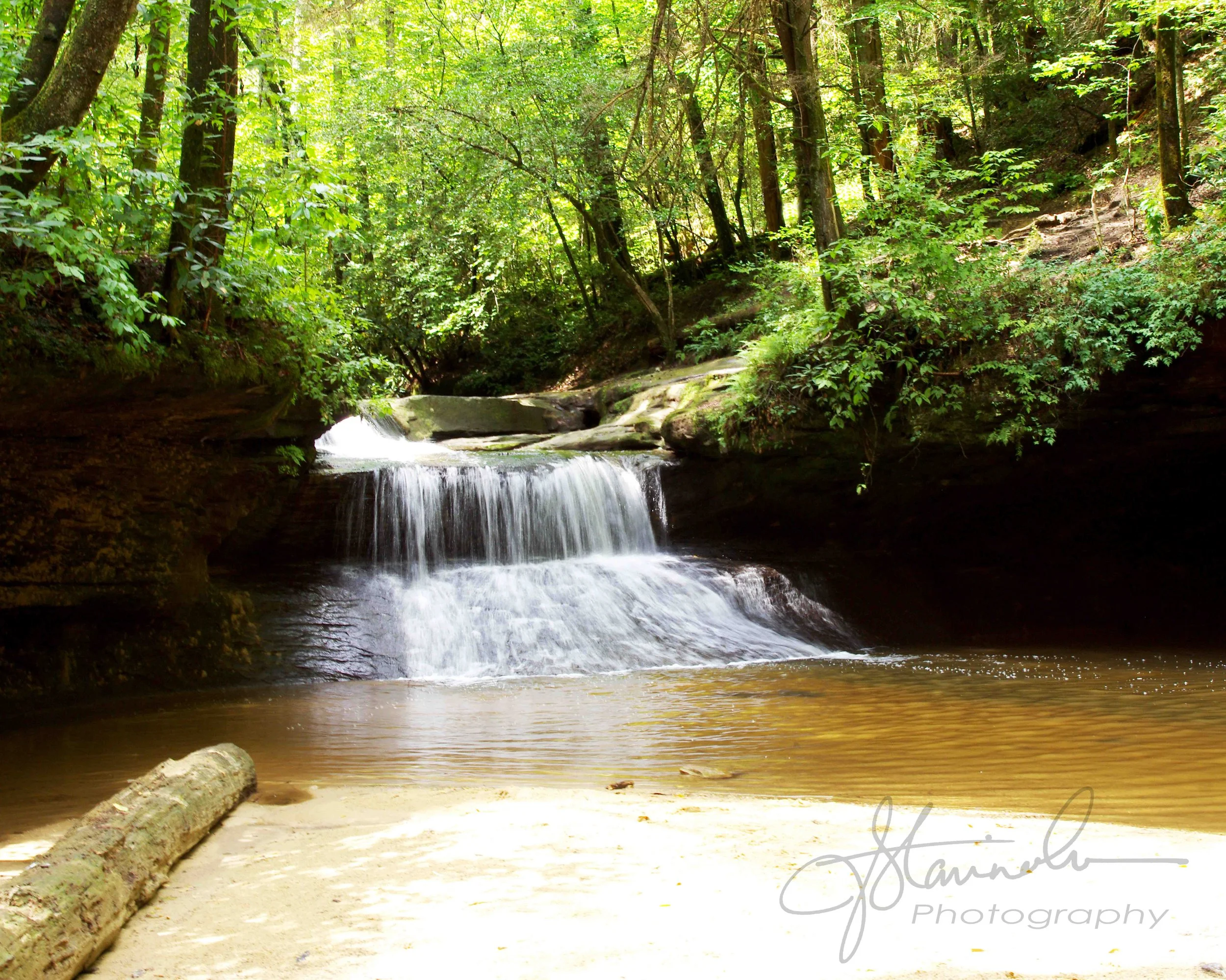 Store 1 — Jennifer Stavinoha