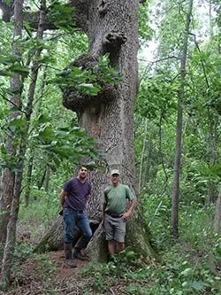 Tree People Field Trips — Arc of Appalachia
