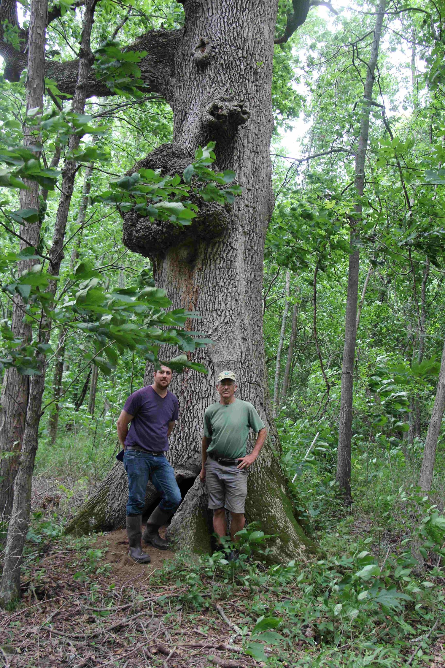 Tree People Field Trips — Arc of Appalachia