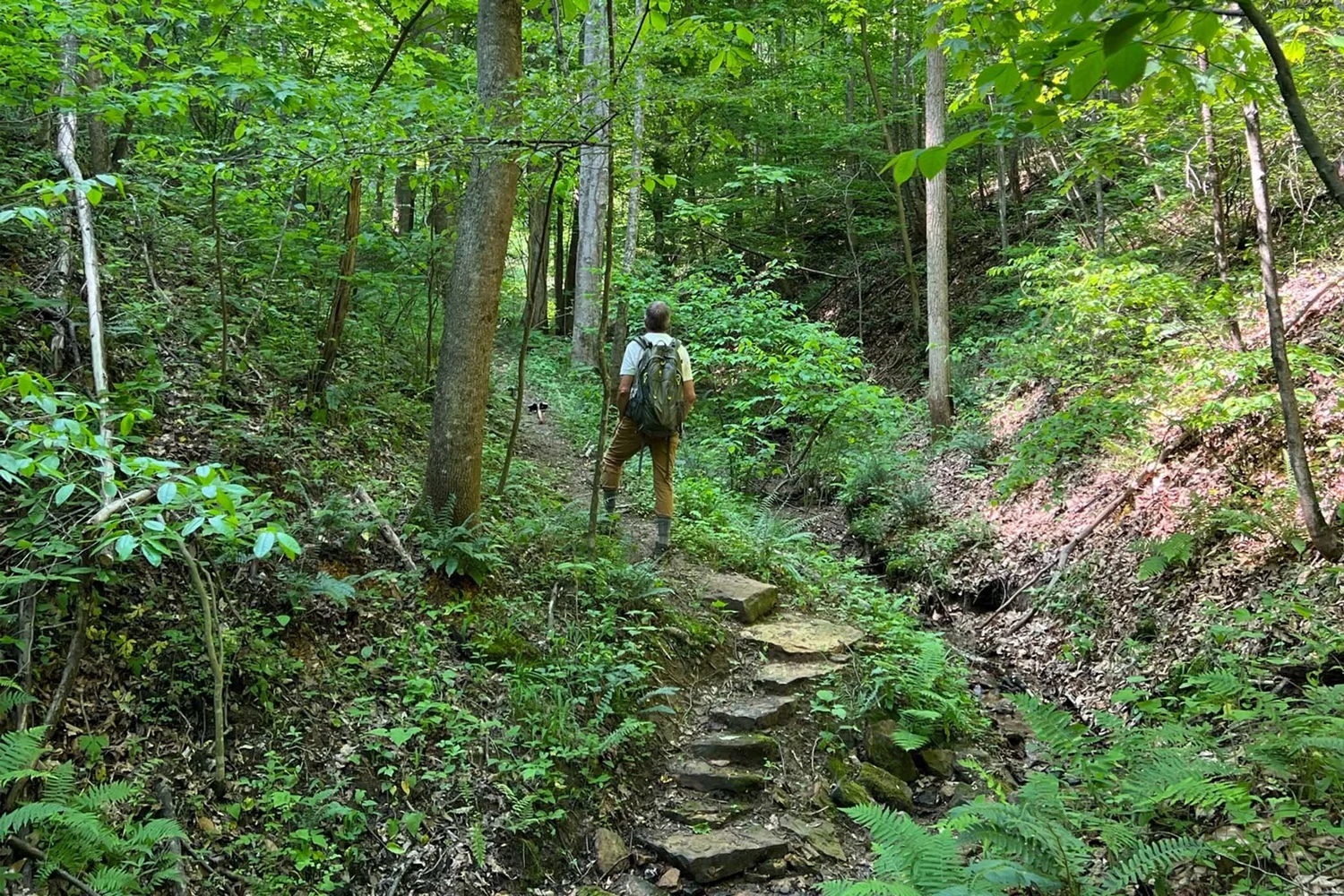 Ohio Hanging Rock — Arc of Appalachia