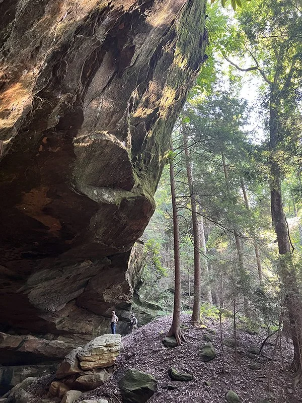 Sylvan Deep — Arc of Appalachia