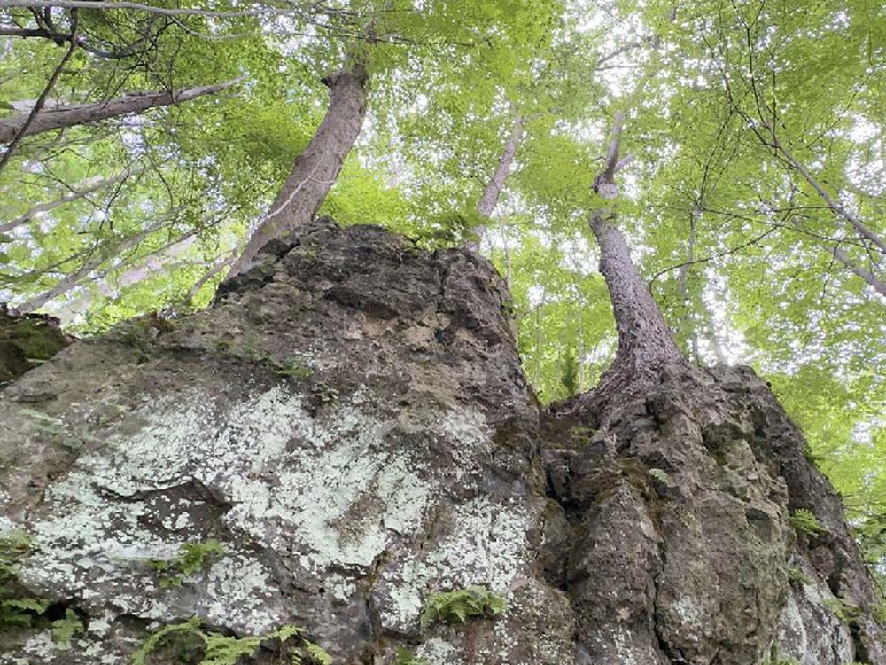 Hickory Hollows Expansion — Arc of Appalachia