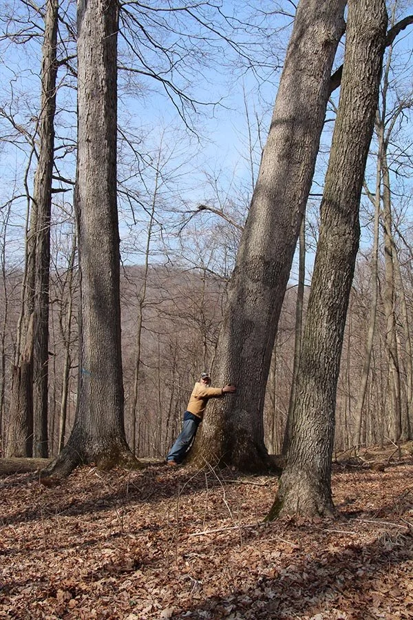 Gladys Riley — Arc of Appalachia