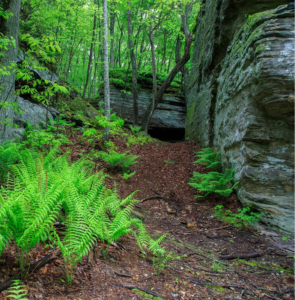 Ohio Hanging Rock Trails — Arc of Appalachia