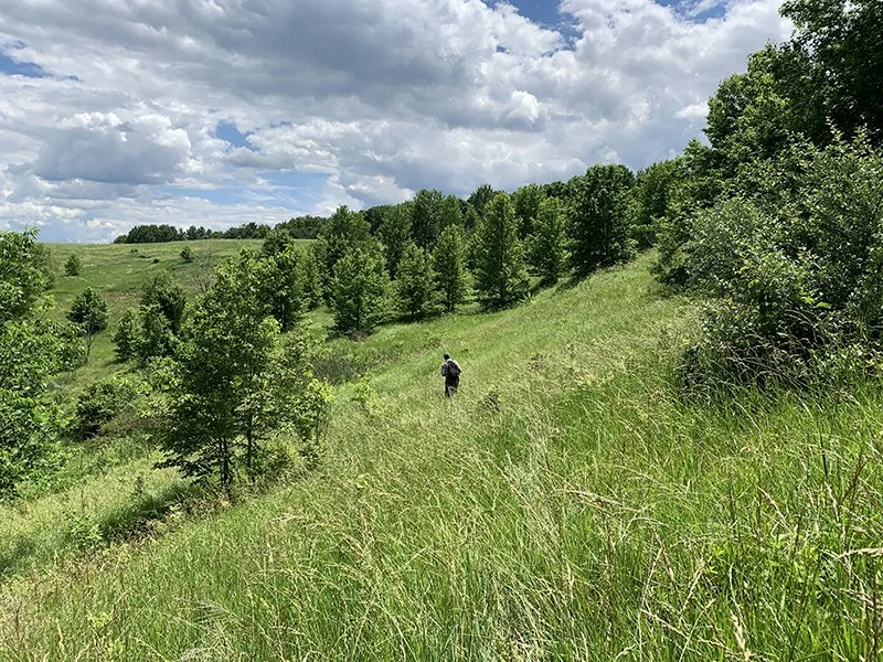 Resilience Trails — Arc of Appalachia