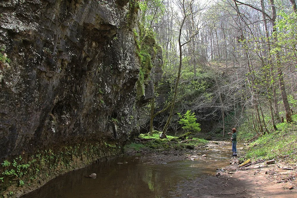 Cliff Run Trails — Arc of Appalachia