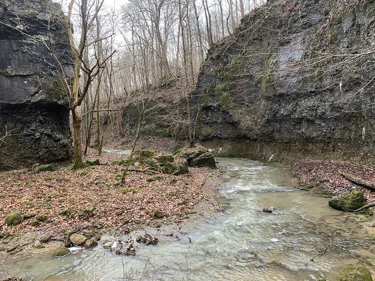 Cliff Run — Arc of Appalachia