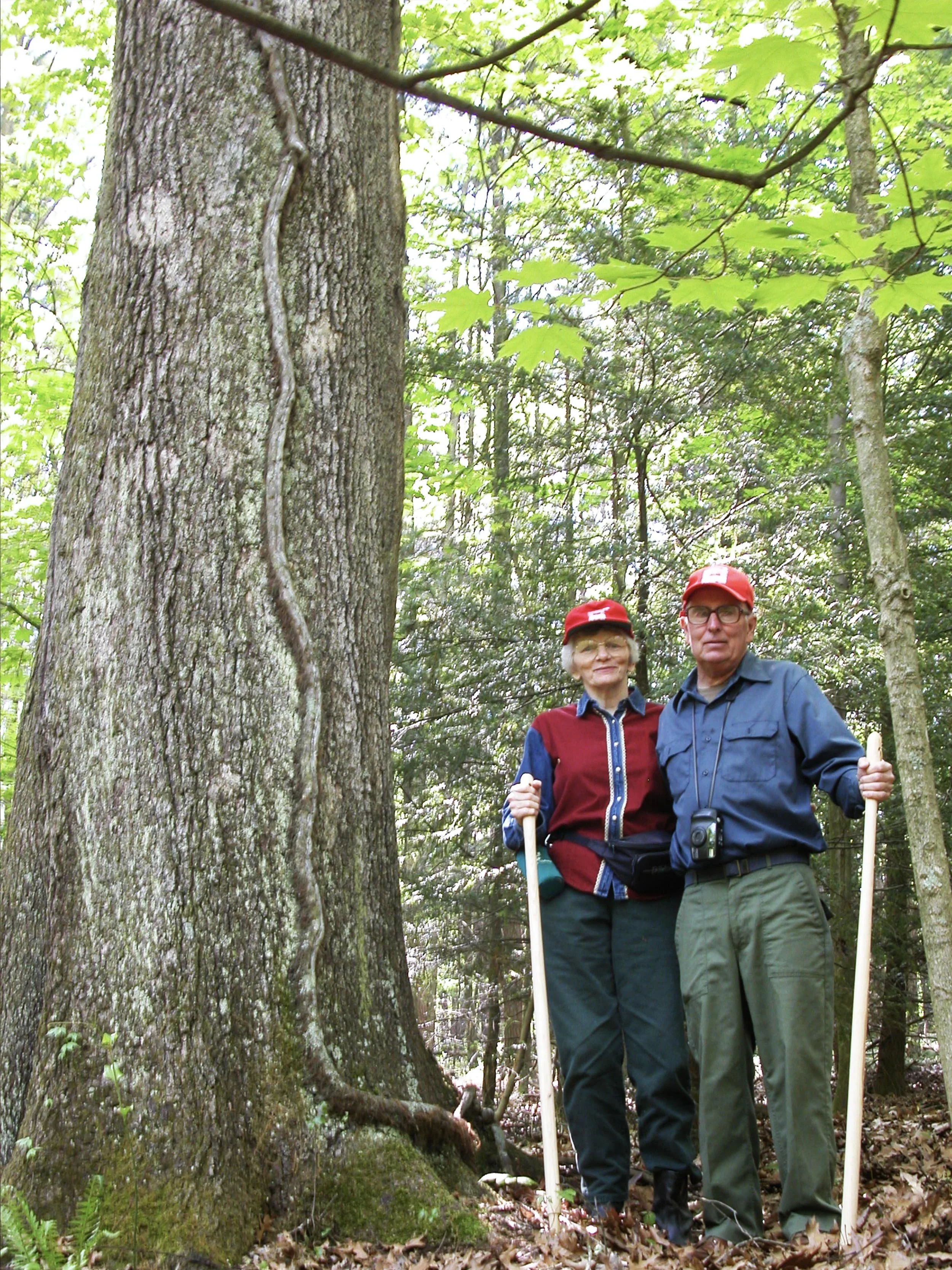 Samson-Obrist Woods — Arc of Appalachia