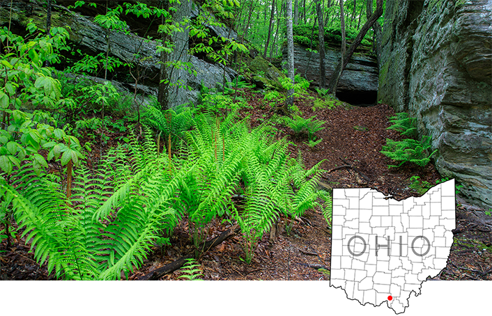 Preserves w/Hiking Trails — Arc of Appalachia