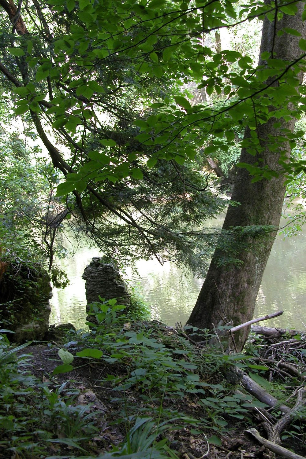 Tree People Field Trips — Arc of Appalachia