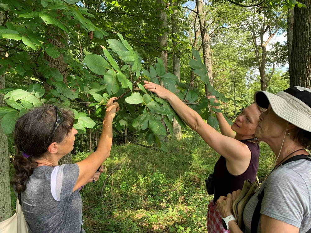 Tree People Field Trips — Arc of Appalachia