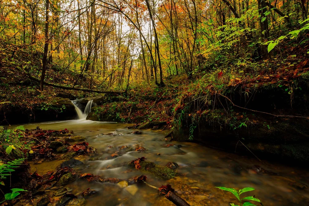 Ohio Hanging Rock — Arc of Appalachia