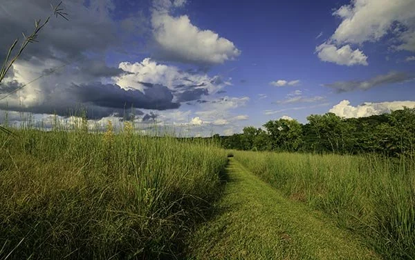 Plum Run — Arc of Appalachia