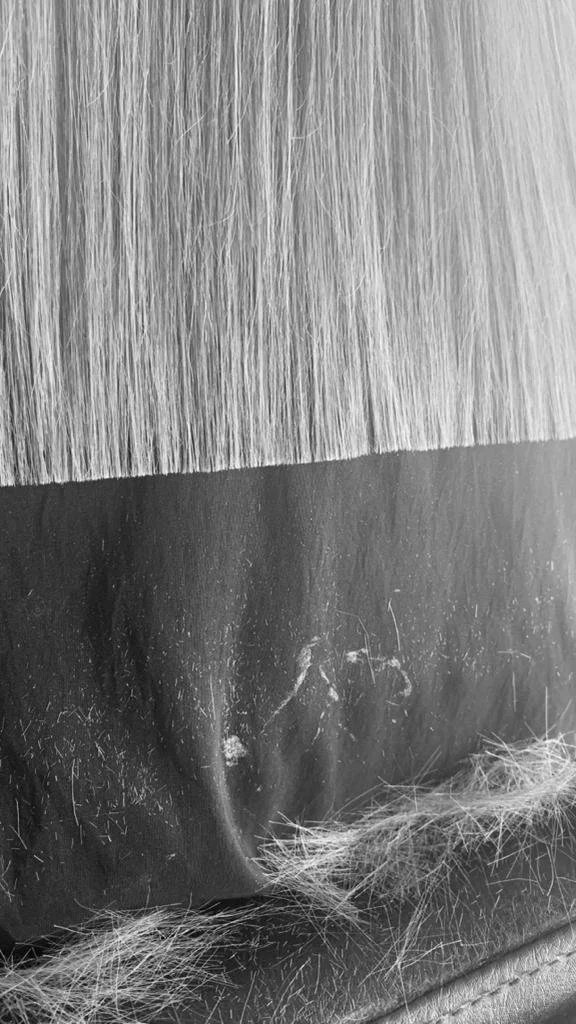 Christopher Moss - Hair Stylist