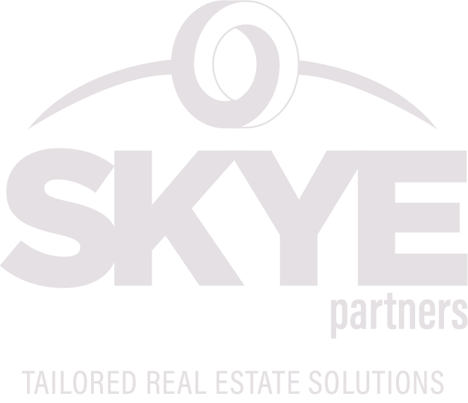 Skye Partners LLC