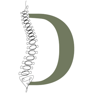 Massage | Book Your Wellness Today — Devine Chiropractic