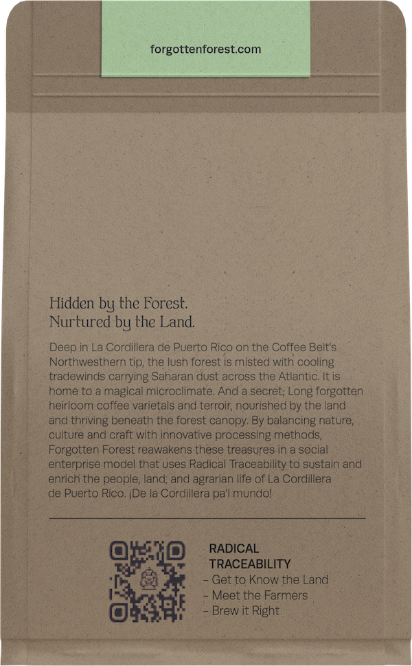 Dos Hermanos | Puerto Rico Coffees — Forgotten Forest