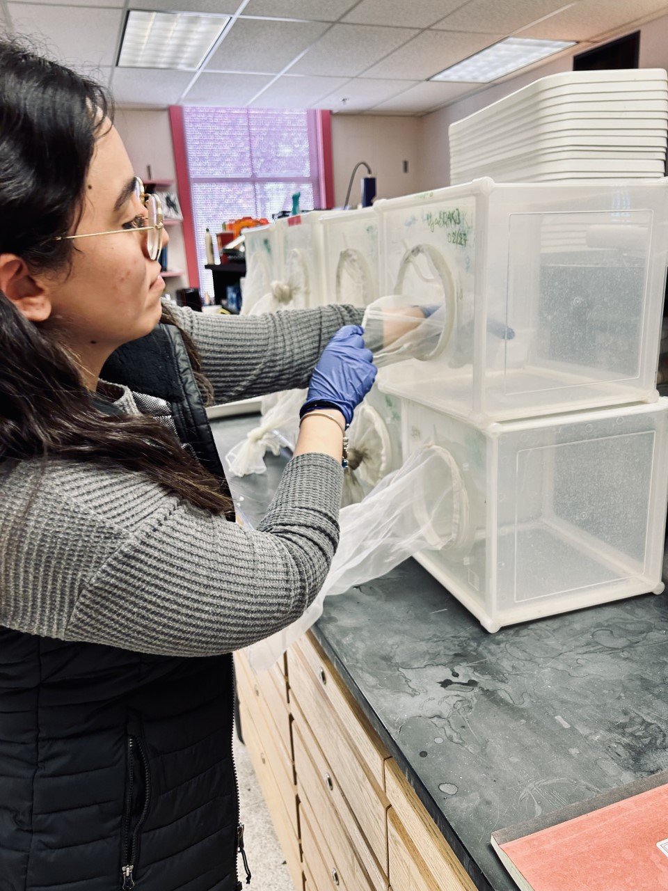 Open Positions — Hansen MVP Lab at NMSU