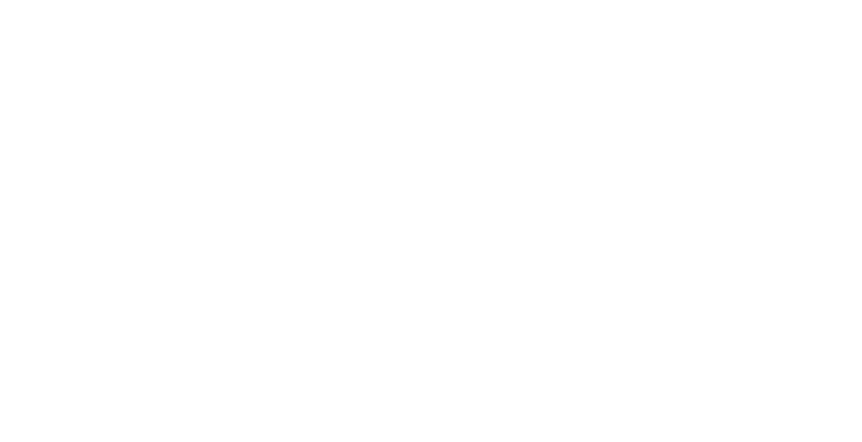 RIDER rider