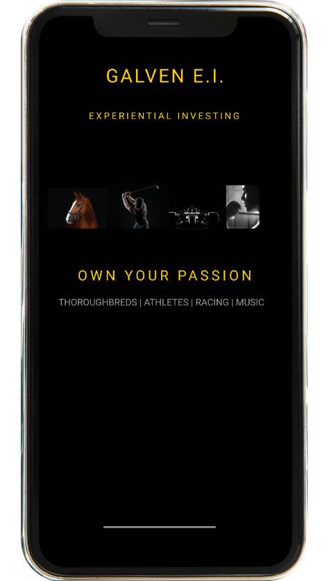 Galven Experiential Investing