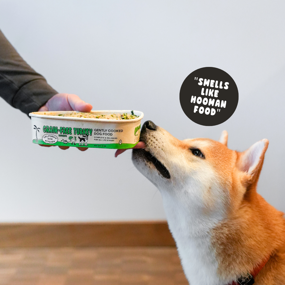 California Dog Kitchen