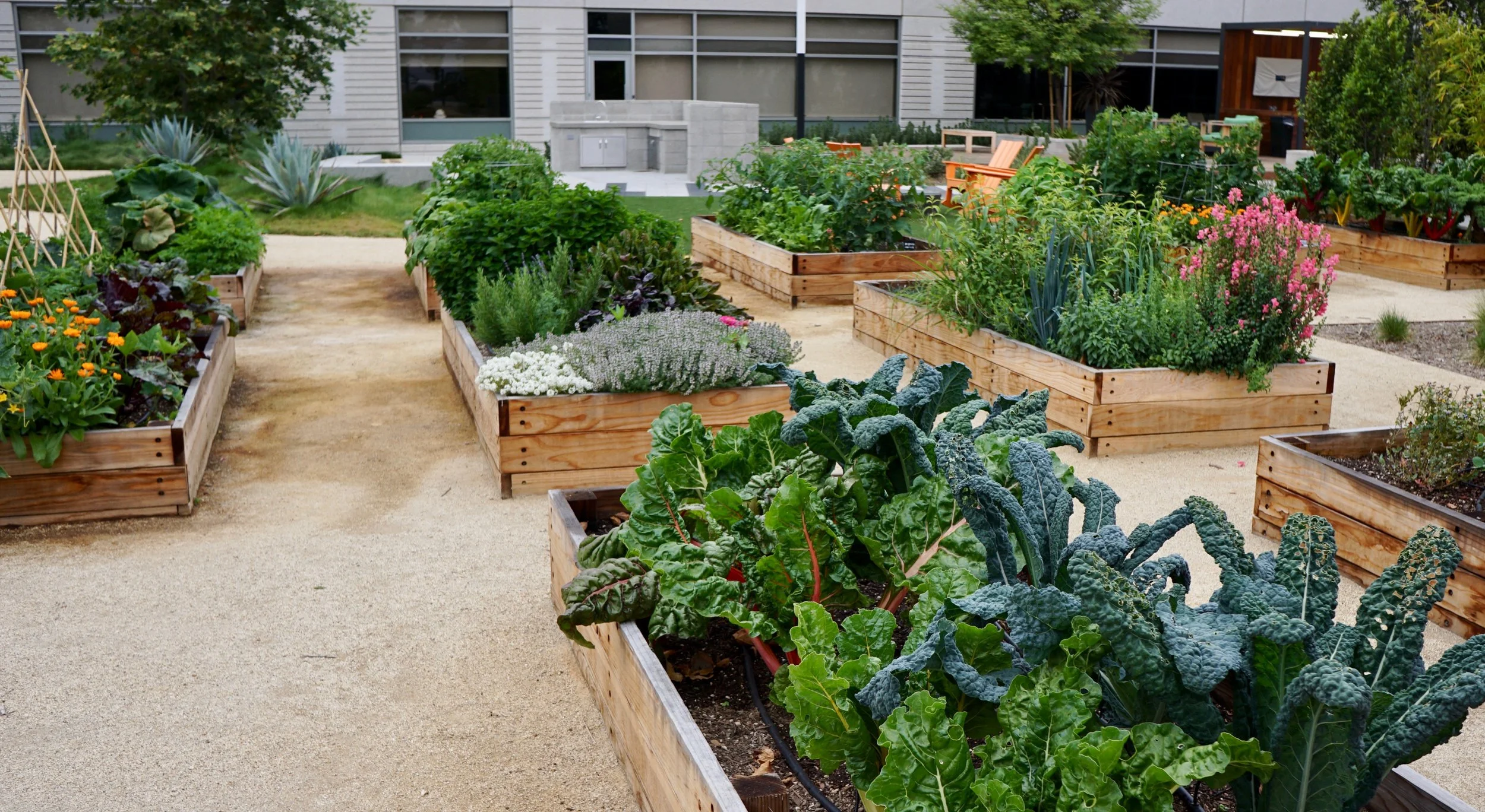 Commercial and Corporate Gardens - California Farm & Garden