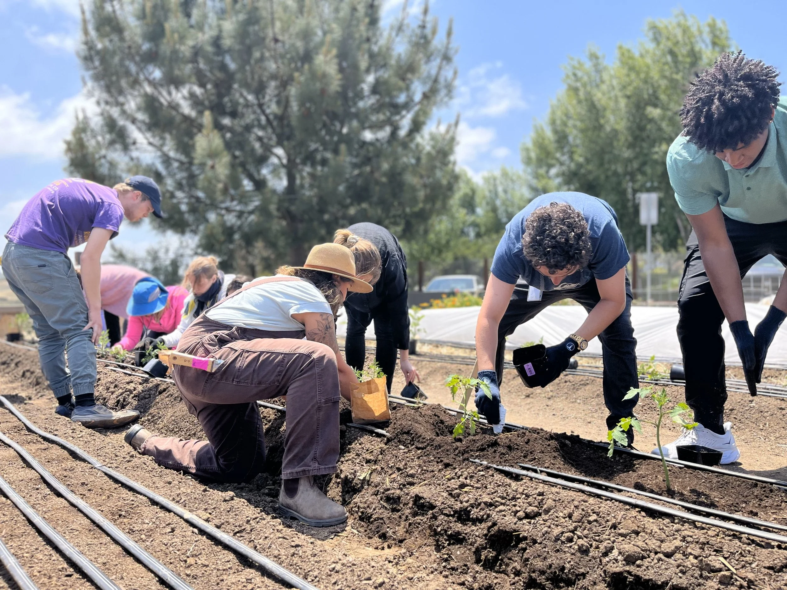Our Farming & Gardening Services - California Farm & Garden