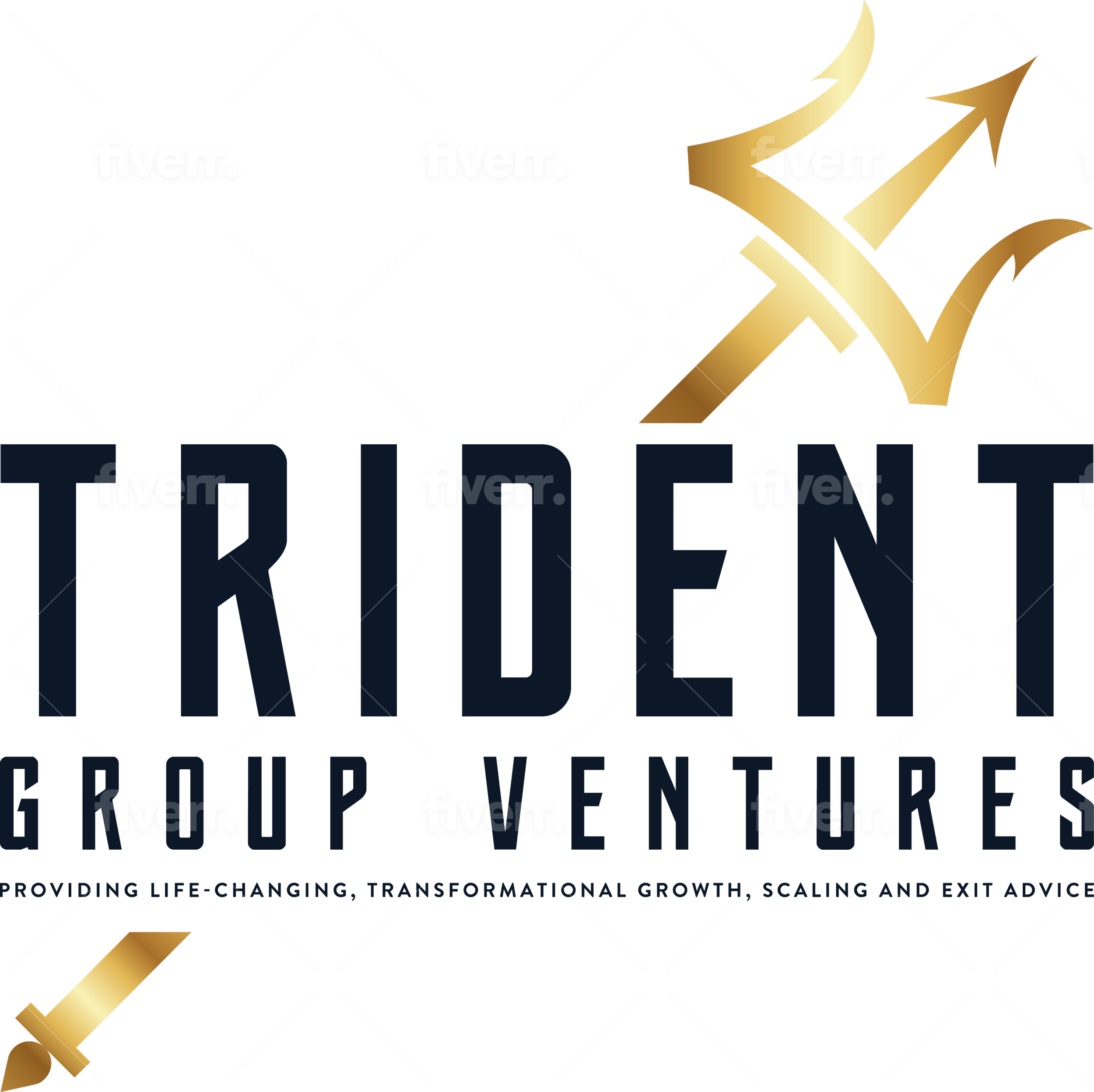 Scott Timm - Trident Group Ventures