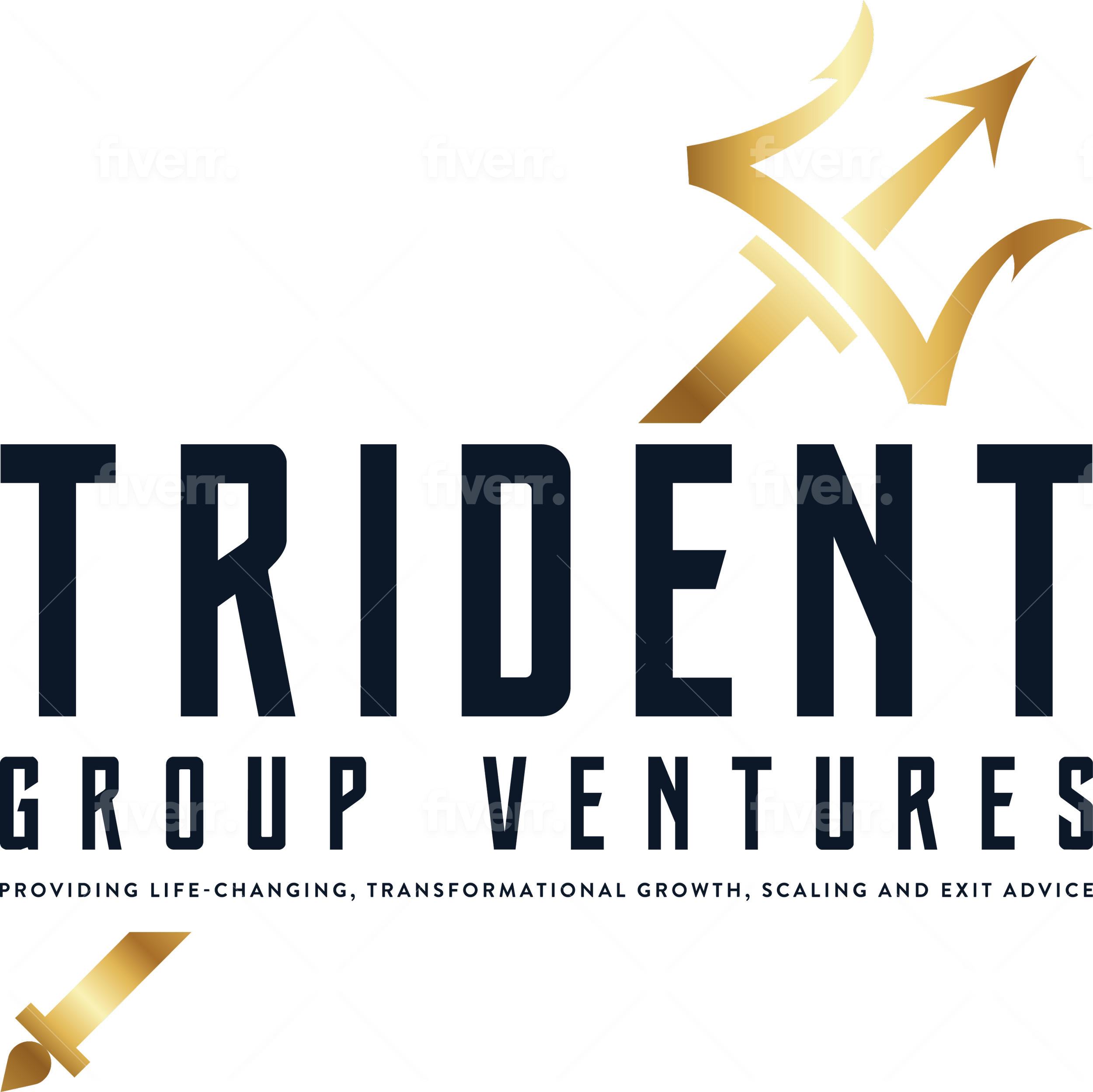 Scott Timm - Trident Group Ventures