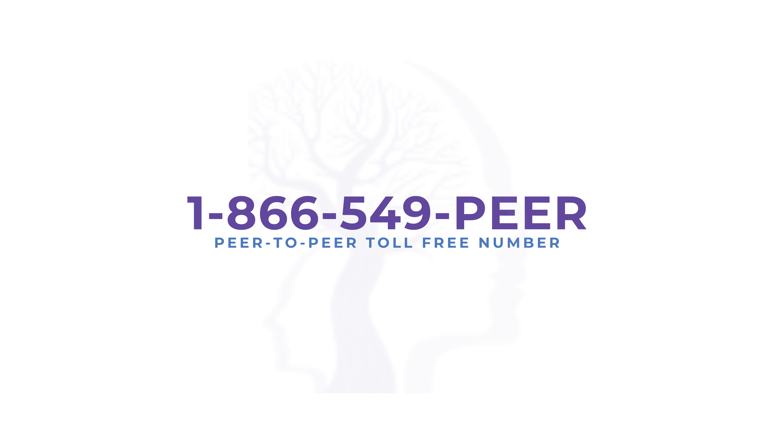 General 2 — Beautiful Minds Recovery