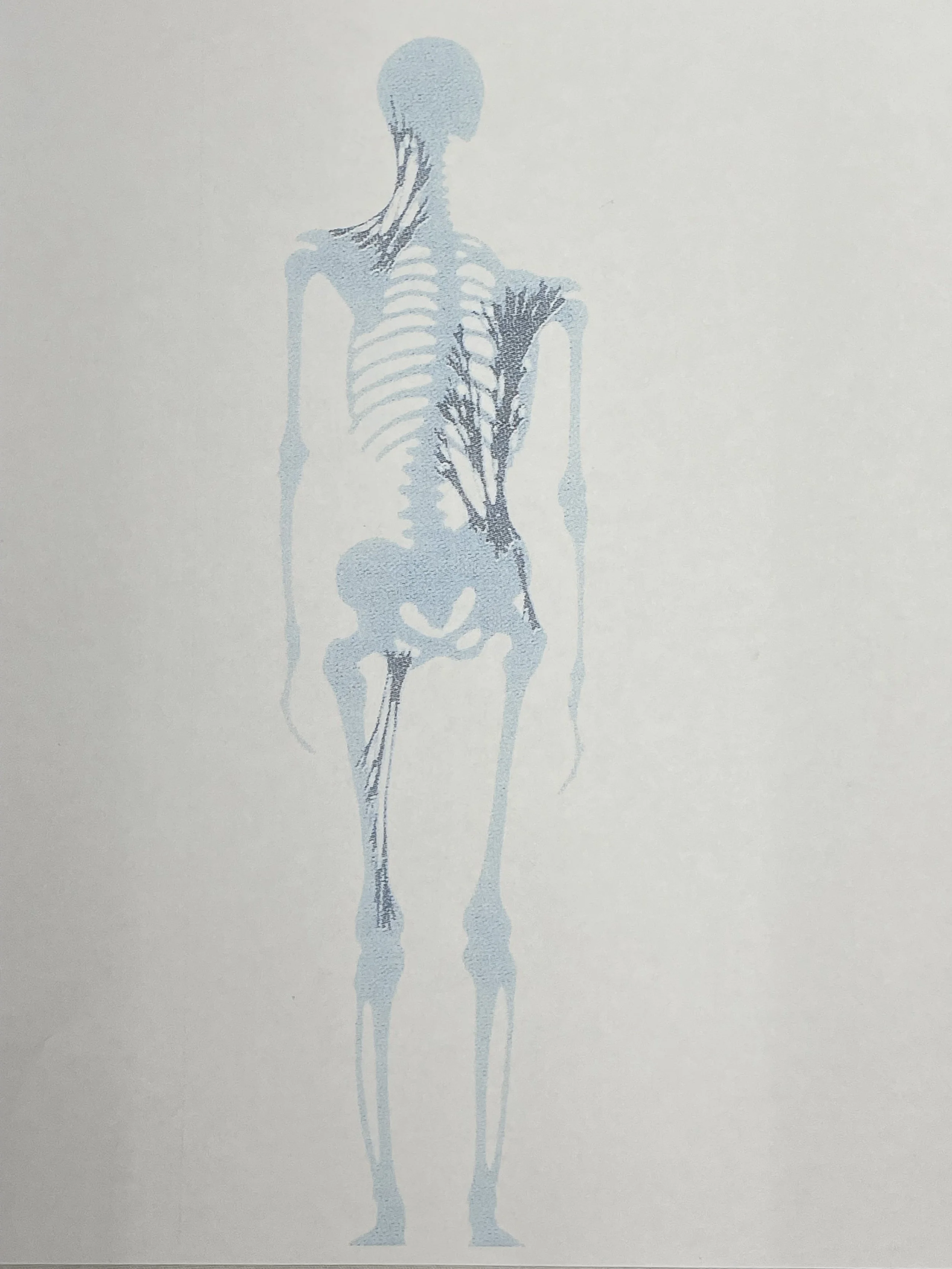 What is Myofascial Release? | Portland’s Guide to Pain Relief and ...