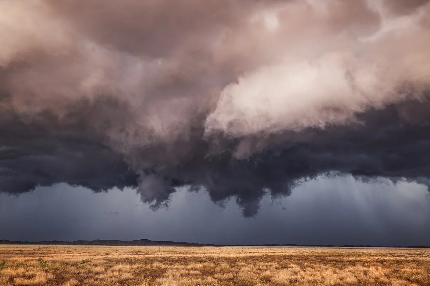 Indigo Storm Photography - Indigo Storm Photography