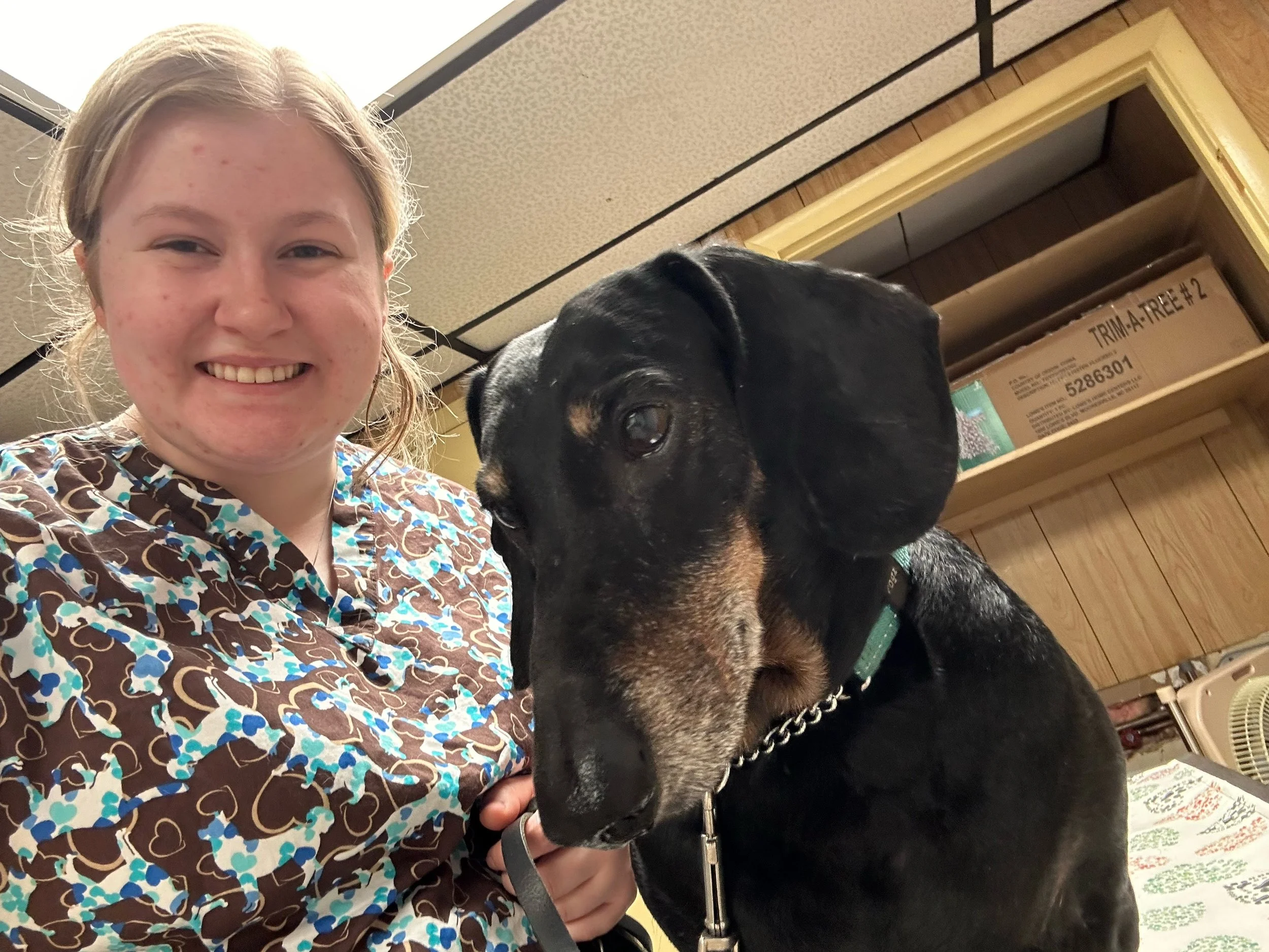 Team — Pet Pedicures