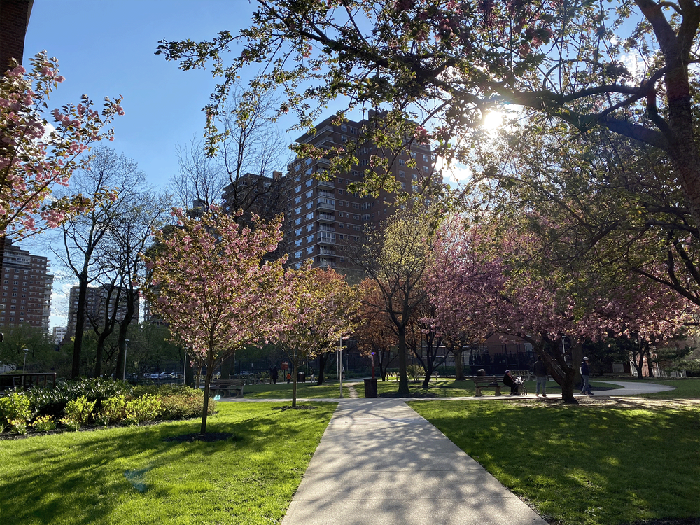 Penn South Social Services