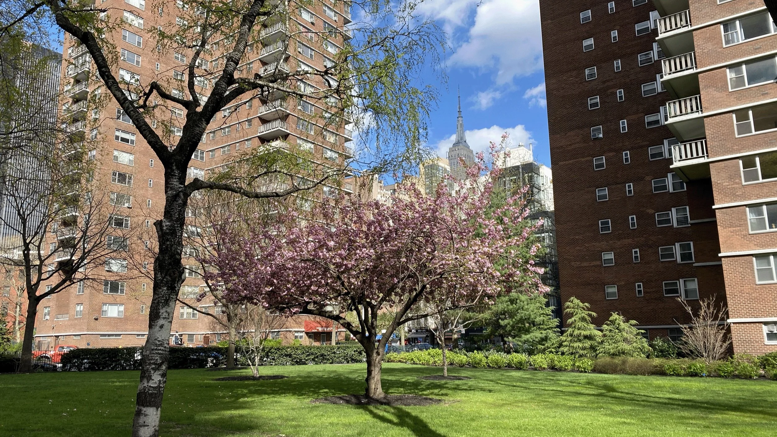 About 4 — Penn South Social Services