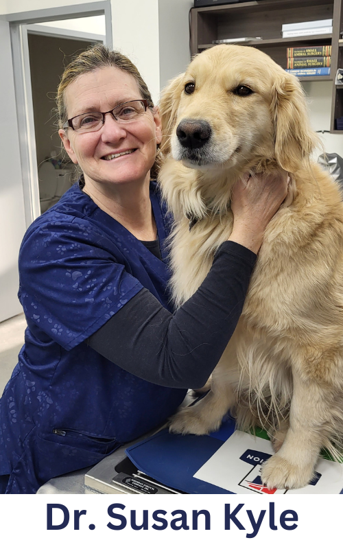 Paws n' Claws Animal Hospital LLC