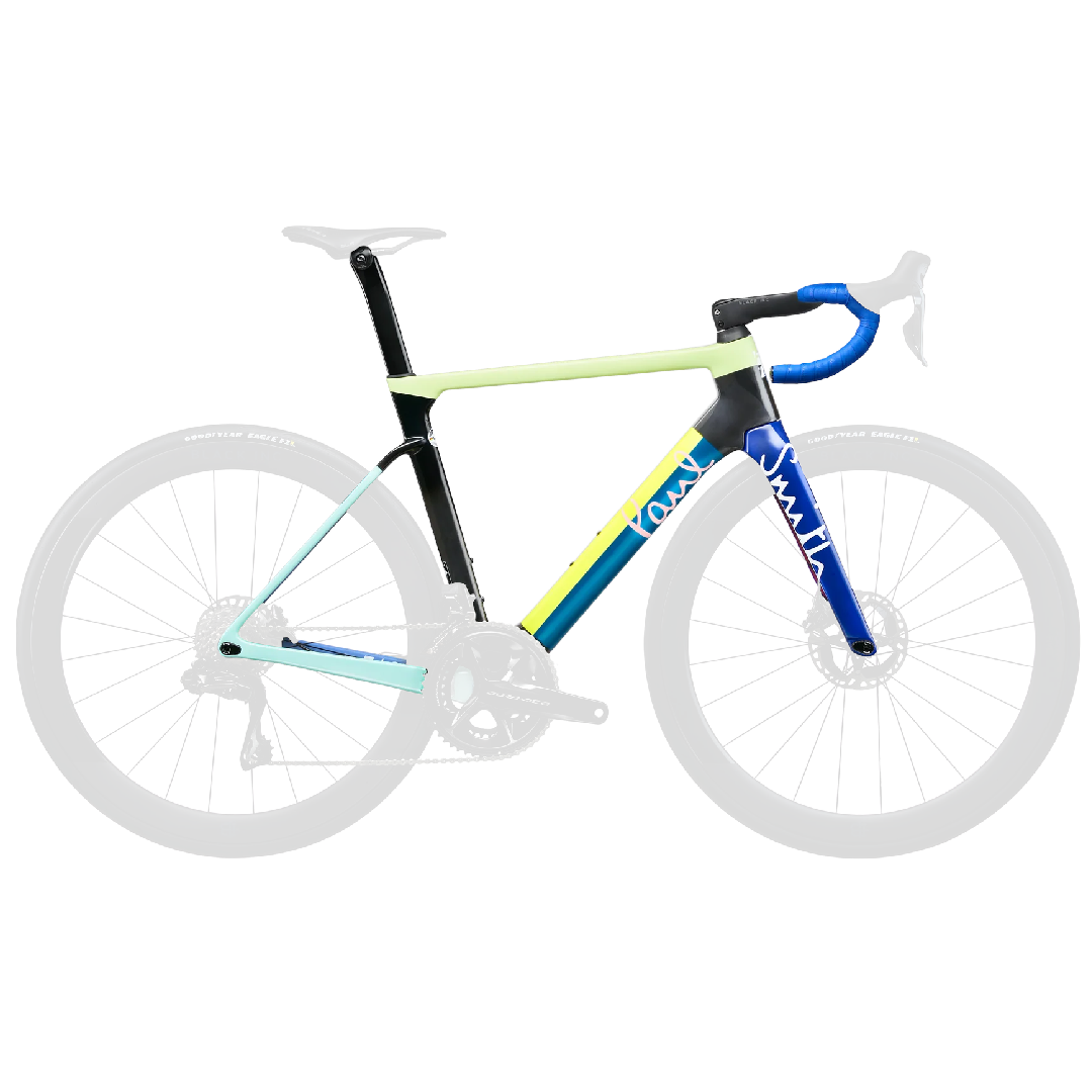 BMC Teammachine SLR 01 MOD Frameset — Imaginary BikeWorks