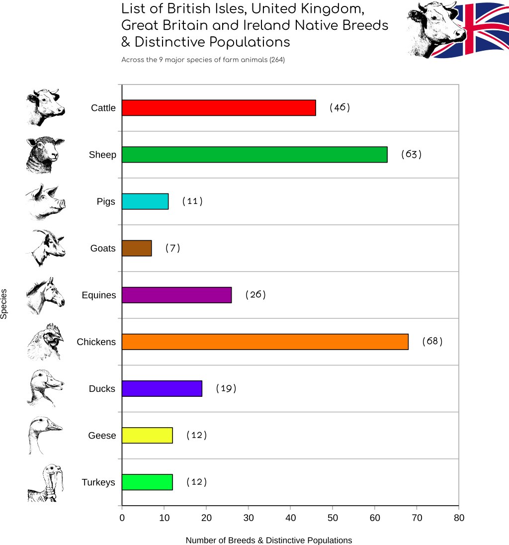 Our Breeds — British Breeds Revival Trust