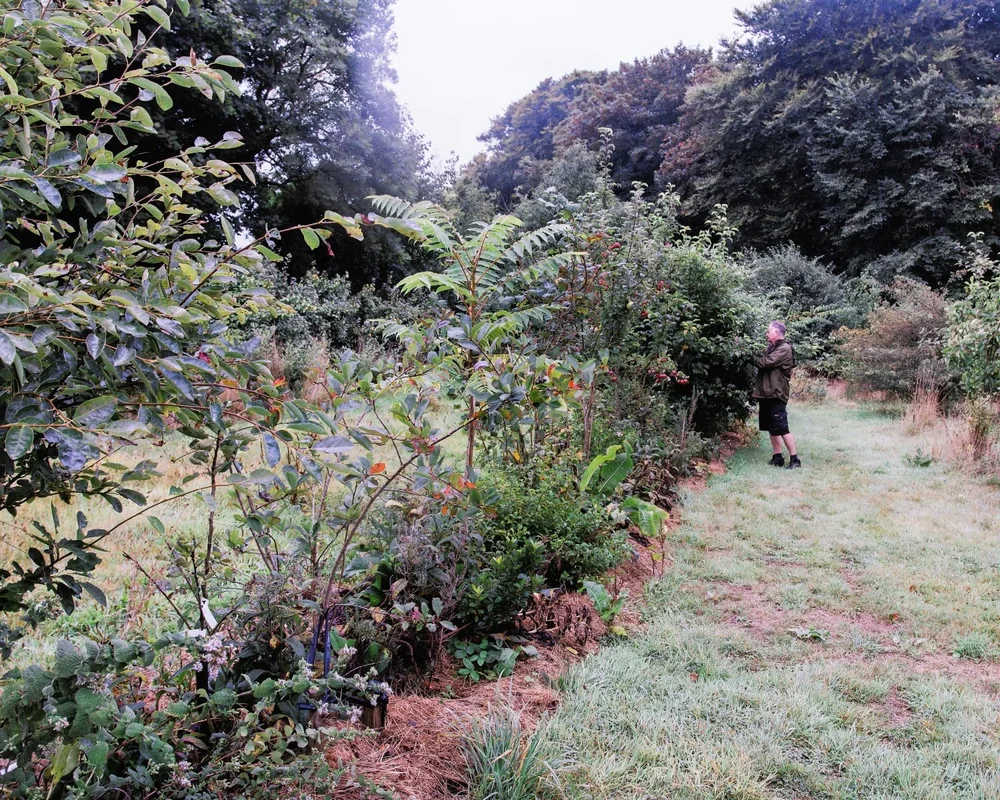 Forest Garden Courses | Learn, Grow, Thrive Today — The Forest Garden ...