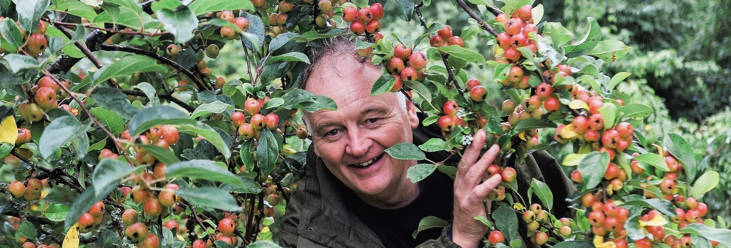 Forest Garden Courses | Learn, Grow, Thrive Today — The Forest Garden ...