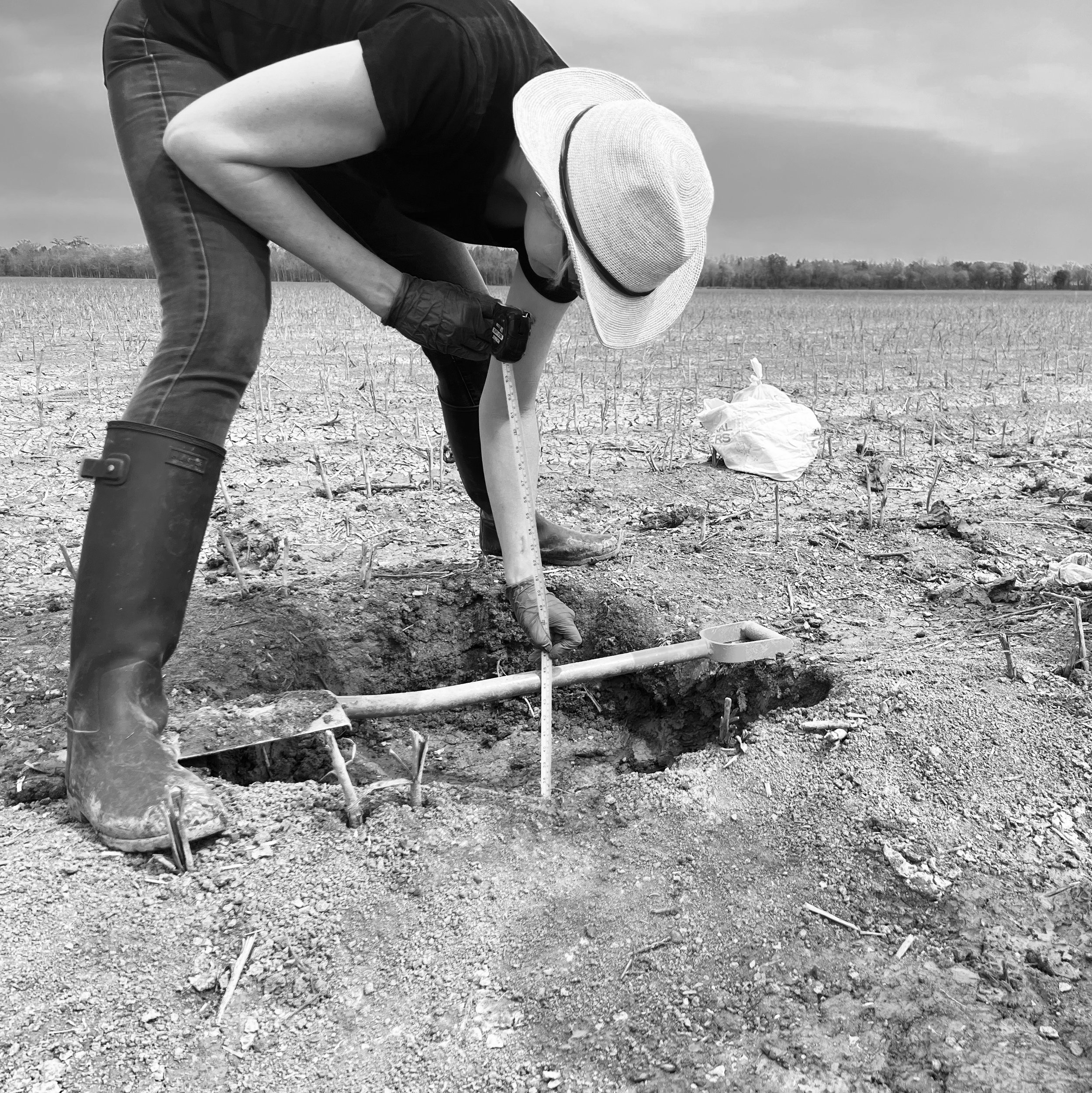 Roots Imperative — FORGE Landscape Architecture