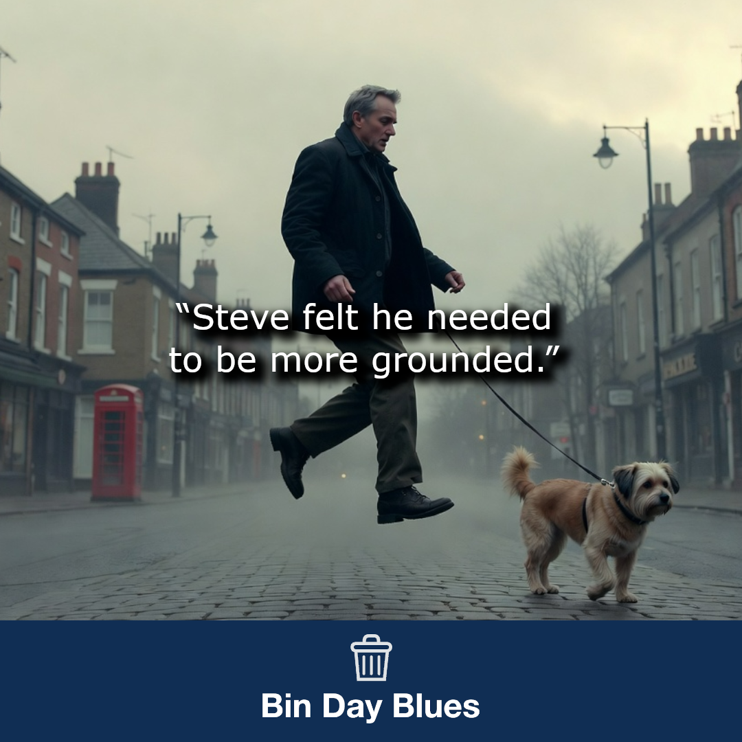 How to Stay Grounded — Bin Day Blues