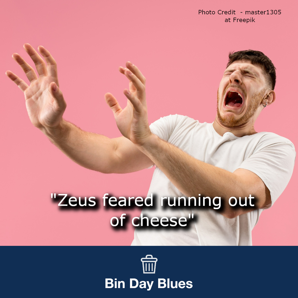 Understanding and Managing Fear — Bin Day Blues