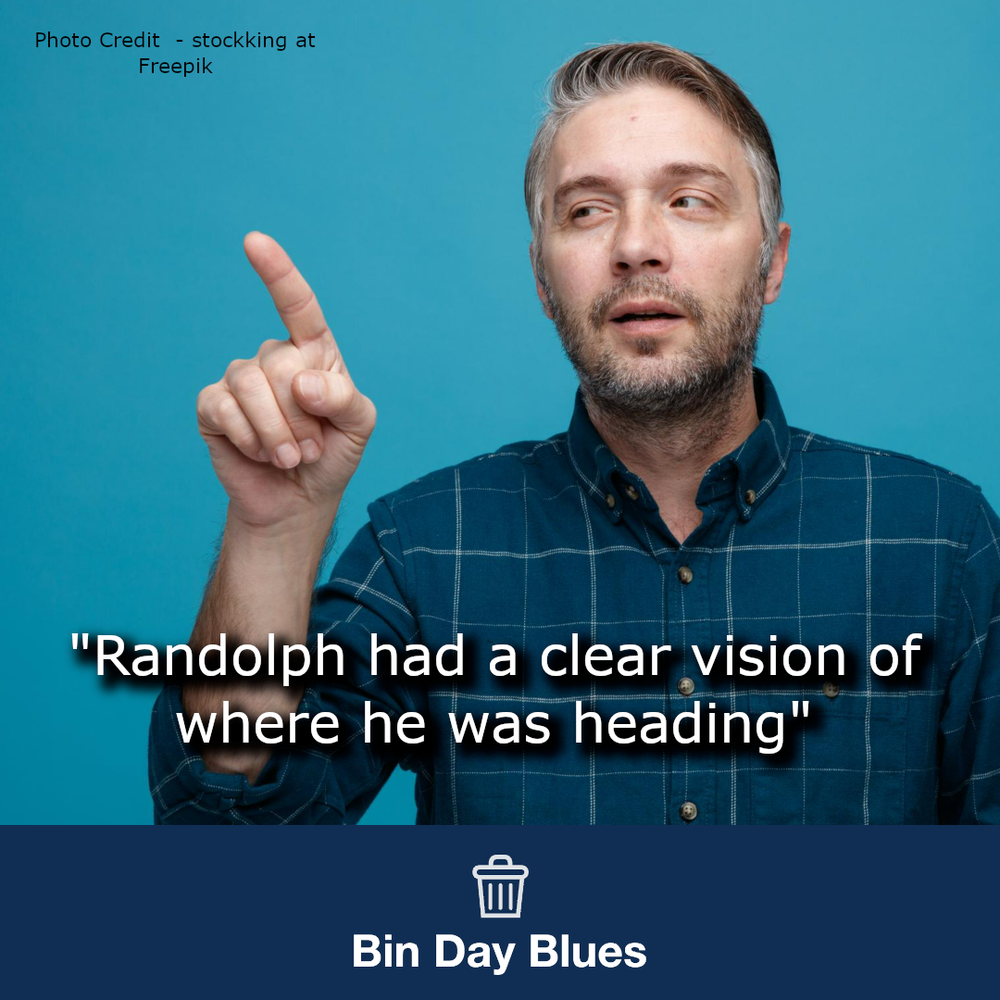 Navigating Life: The Power of Having a Clear Direction — Bin Day Blues