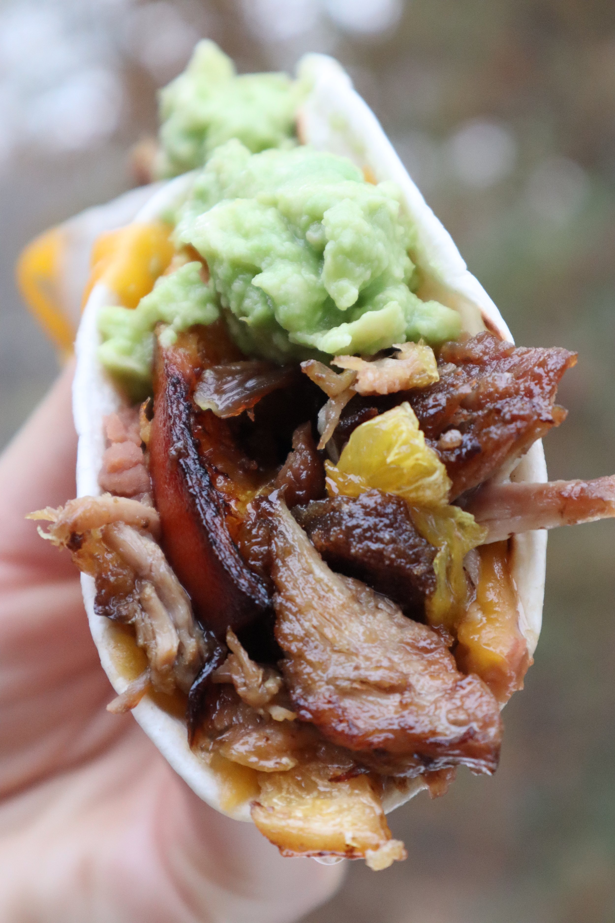 Carnitas Recipe — Amelia is NOT a Chef