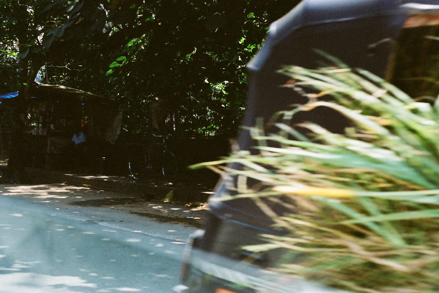 PHOTOGRAPHY — AMELIA MEHTA